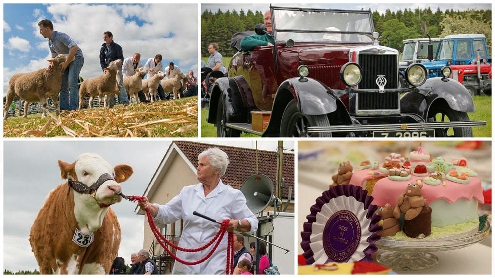More than 20,000 expected to flock to Armagh show – Armagh I