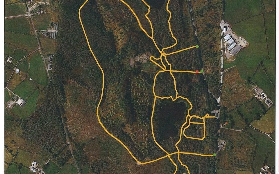 Full steam ahead for Gosford, Carnagh and Darkley Forest Parks as ...