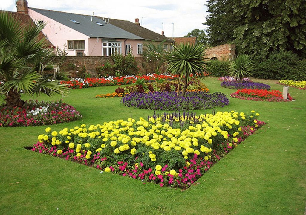 Council considering grants up to £250 for local groups to buy plants ...