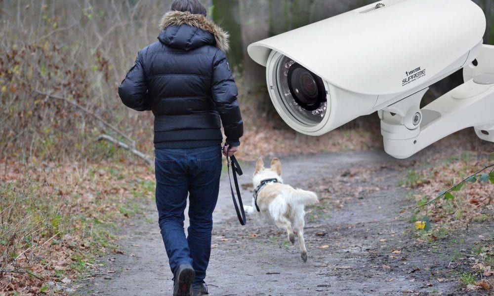 ‘Persistent problem’ of dog fouling leads to calls for CCTV in hotspots ...