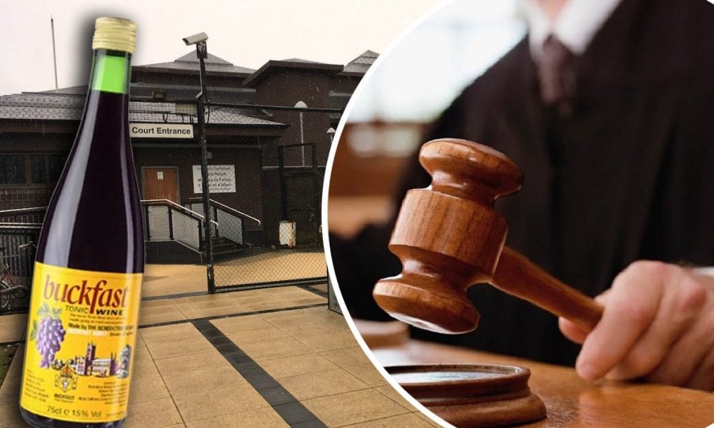 Drink driver who crashed BMW into hedge then fell asleep had two empty ...