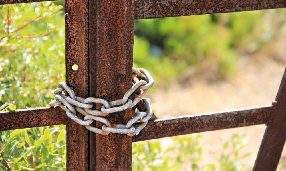 Suspected livestock theft at Loughgall prompts police warning to ...