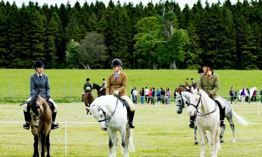 All 2020 agricultural shows across Northern Ireland cancelled – Armagh I