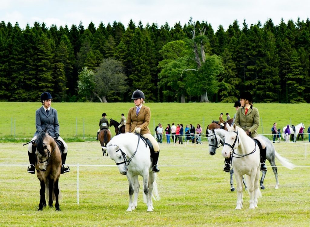Get your entries in for Armagh County Agricultural Show – Armagh I