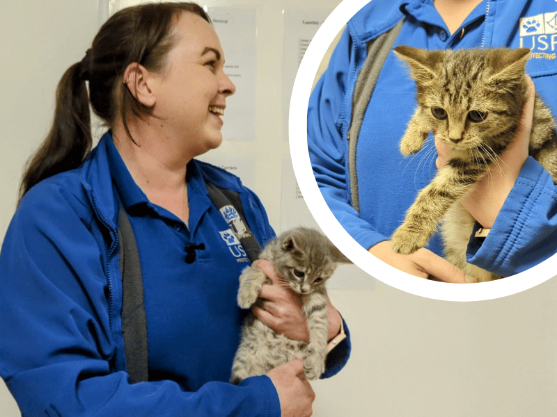 Watch: All Creatures Great and Small – USPCA Newry welcome all under their wing – Armagh I