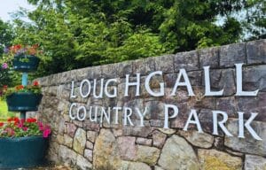 Tree-mendous news as local forests to see restoration work over year on ...
